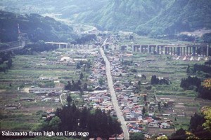 The Function of Post-towns